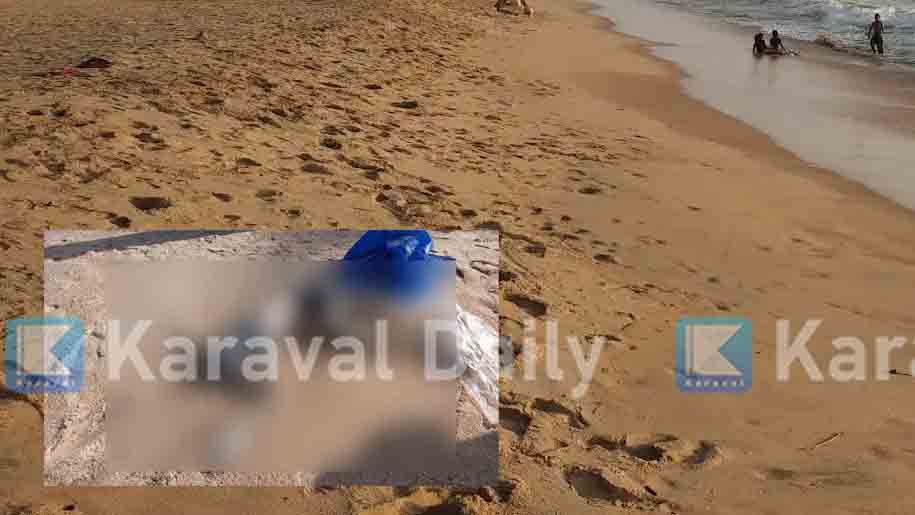 തത്തയെ പിടികൂടാൻ ശ്രമിക്കുന്നതിനിടെ തെങ്ങ് ദേഹത്ത് വീണ് ഏഴാം ...